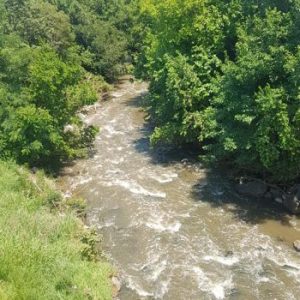 Police confirm fifth body found in Hennops River - BUZZ LIFE NEWS